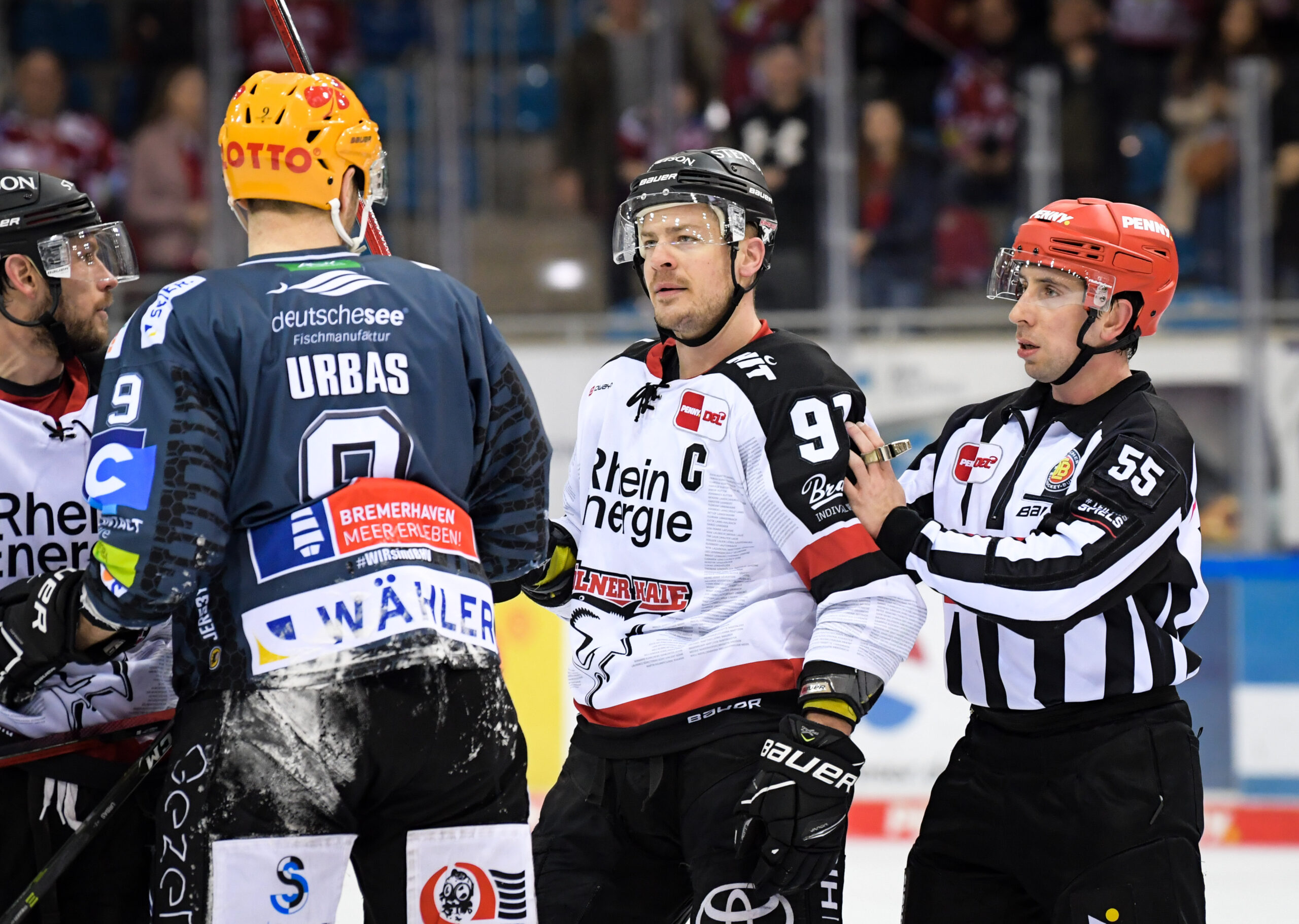 Reise an die Nordseeküste - Haie am Freitag in Bremerhaven zu Gast ...