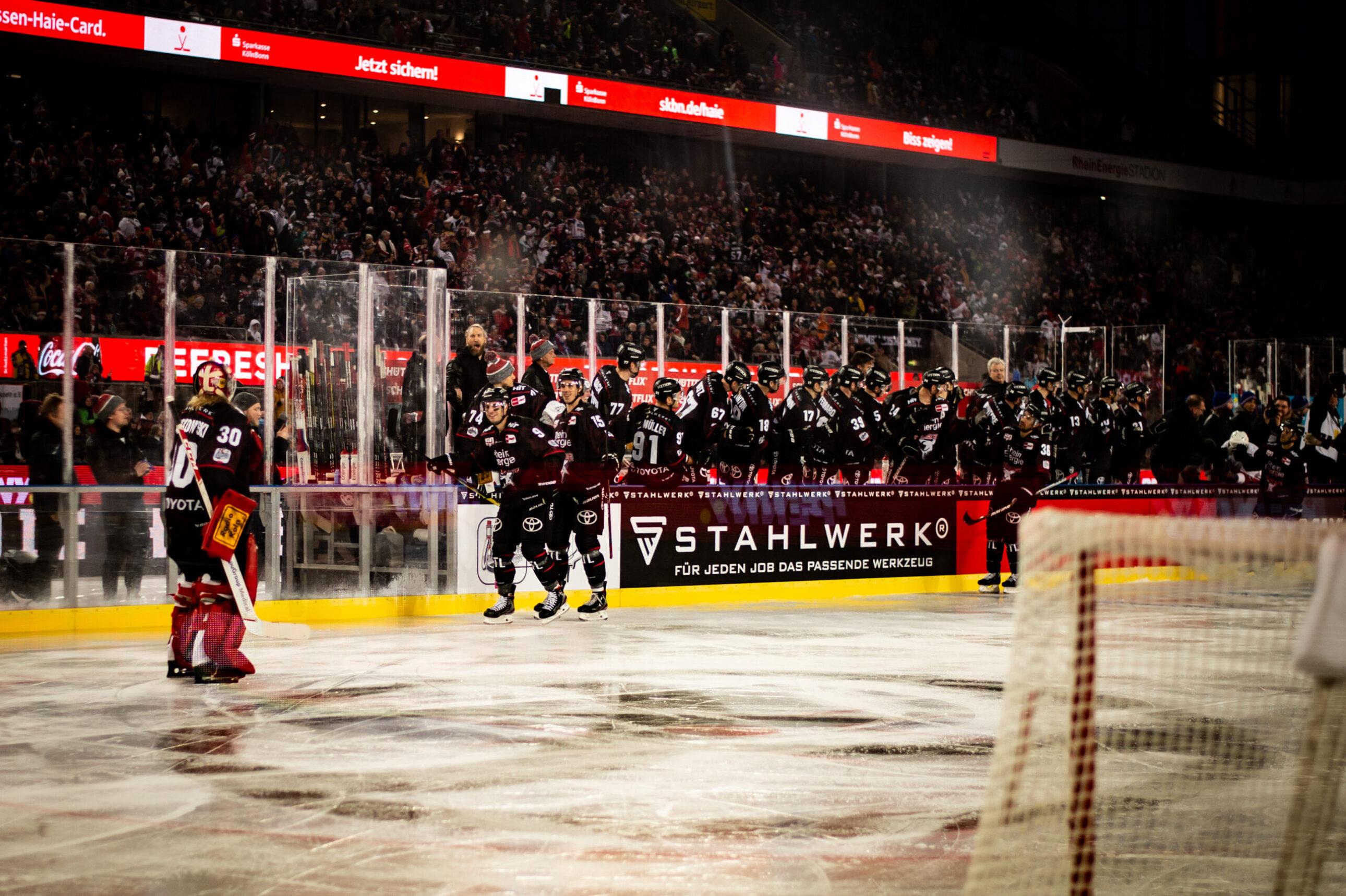 Die Haie im Stadion - Cologne Stadium Series | Haie.de