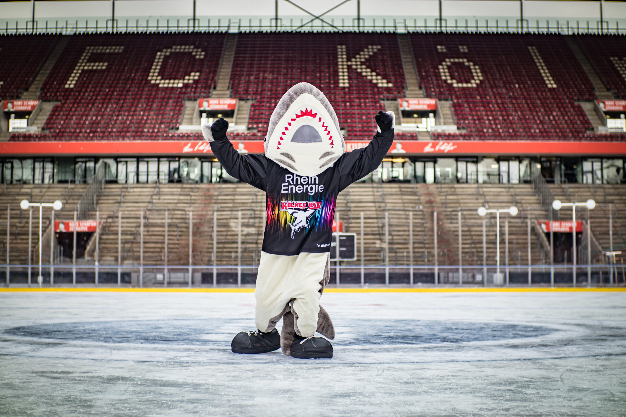 Unser Trikot fürs Stadion - Das neue Diversity Trikot! | Haie.de