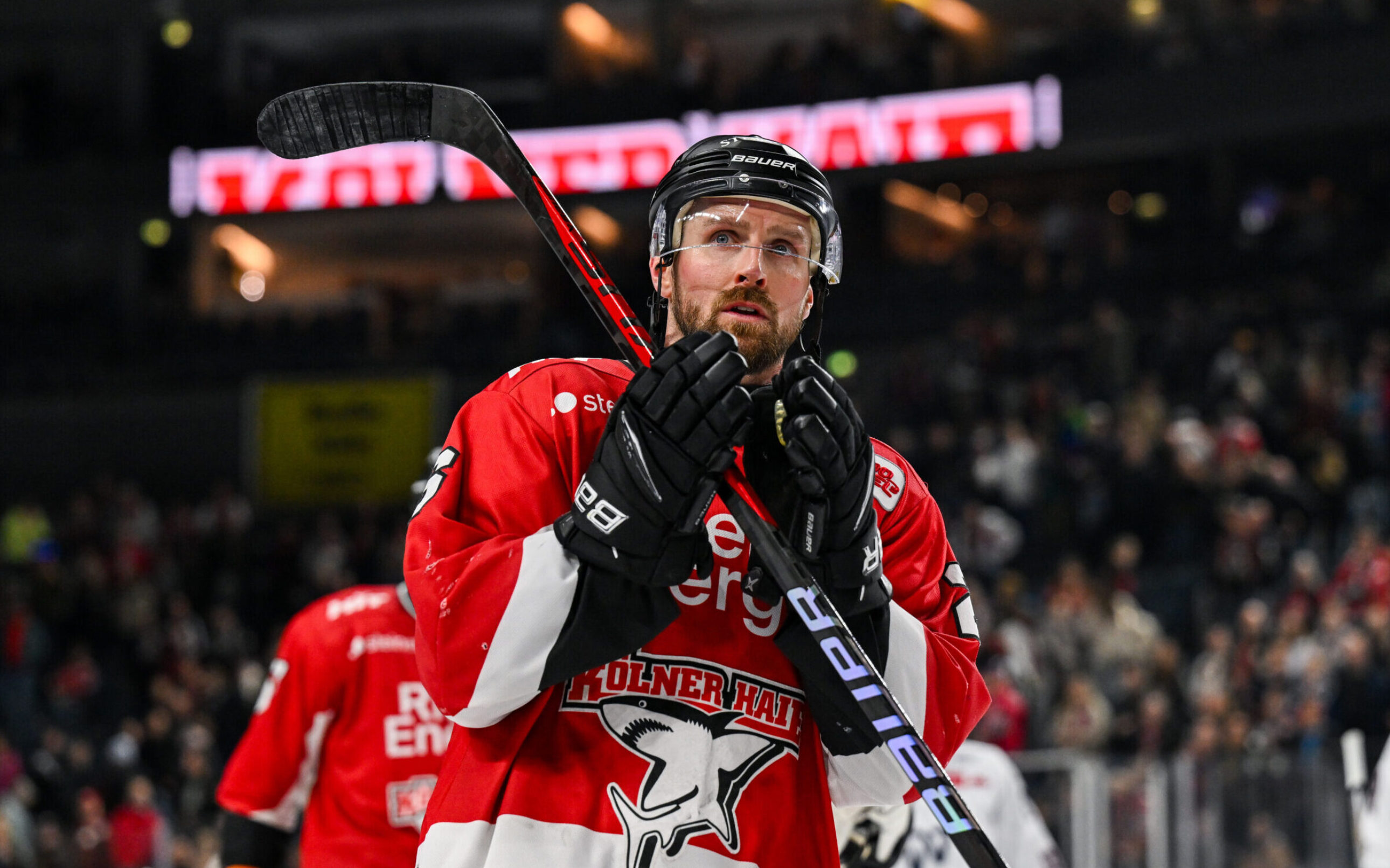 David McIntyre beendet seine Karriere | Haie.de