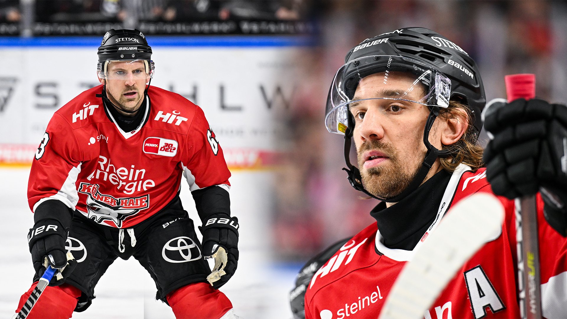 Personalupdate vor dem Trainingsauftakt | Haie.de