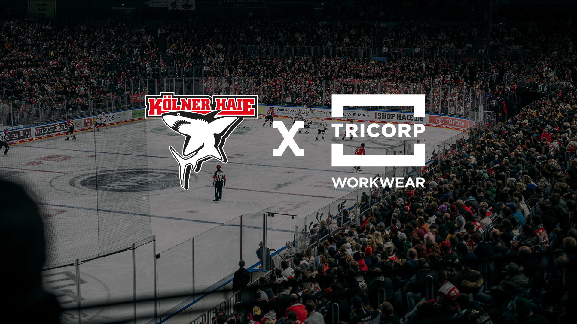 Tricorp Workwear ist neuer Premium Partner | Haie.de