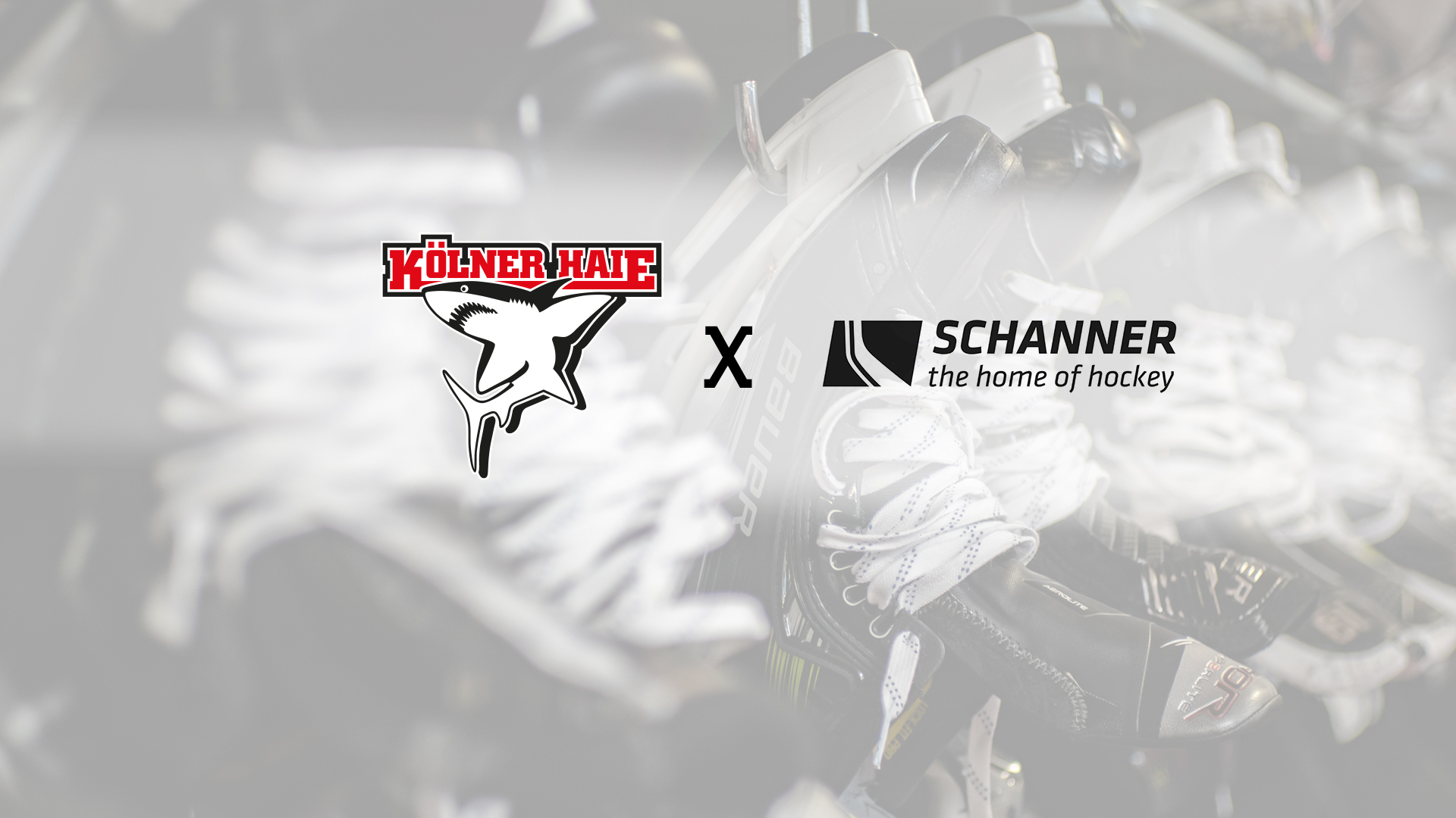 Haie und Schanner Eishockeyartikel verlängern langfristig ihren ...