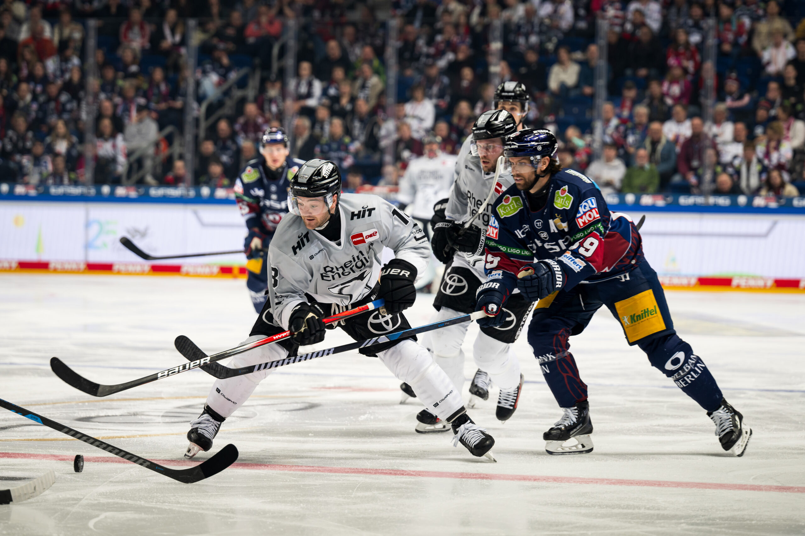 Start des Finals am Donnerstagabend in der Hauptstadt | Haie.de