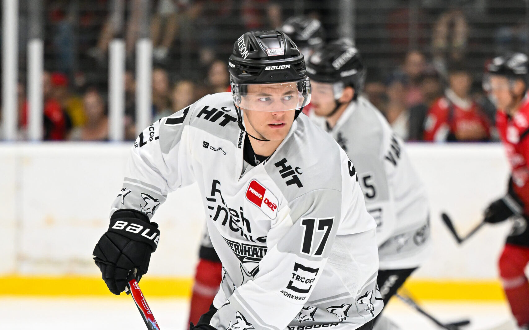 Jan Luca Sennhenn fällt mit Oberkörperverletzung aus | Haie.de