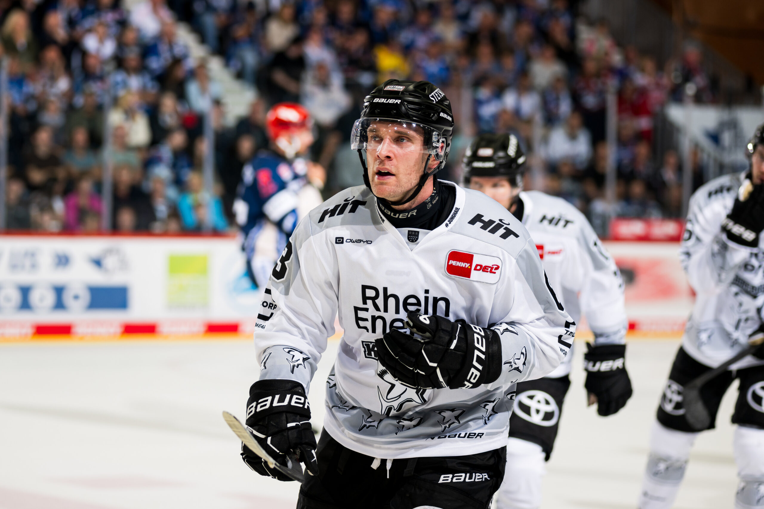 Haie starten bayrisches Wochenende am Freitag in Ingolstadt | Haie.de