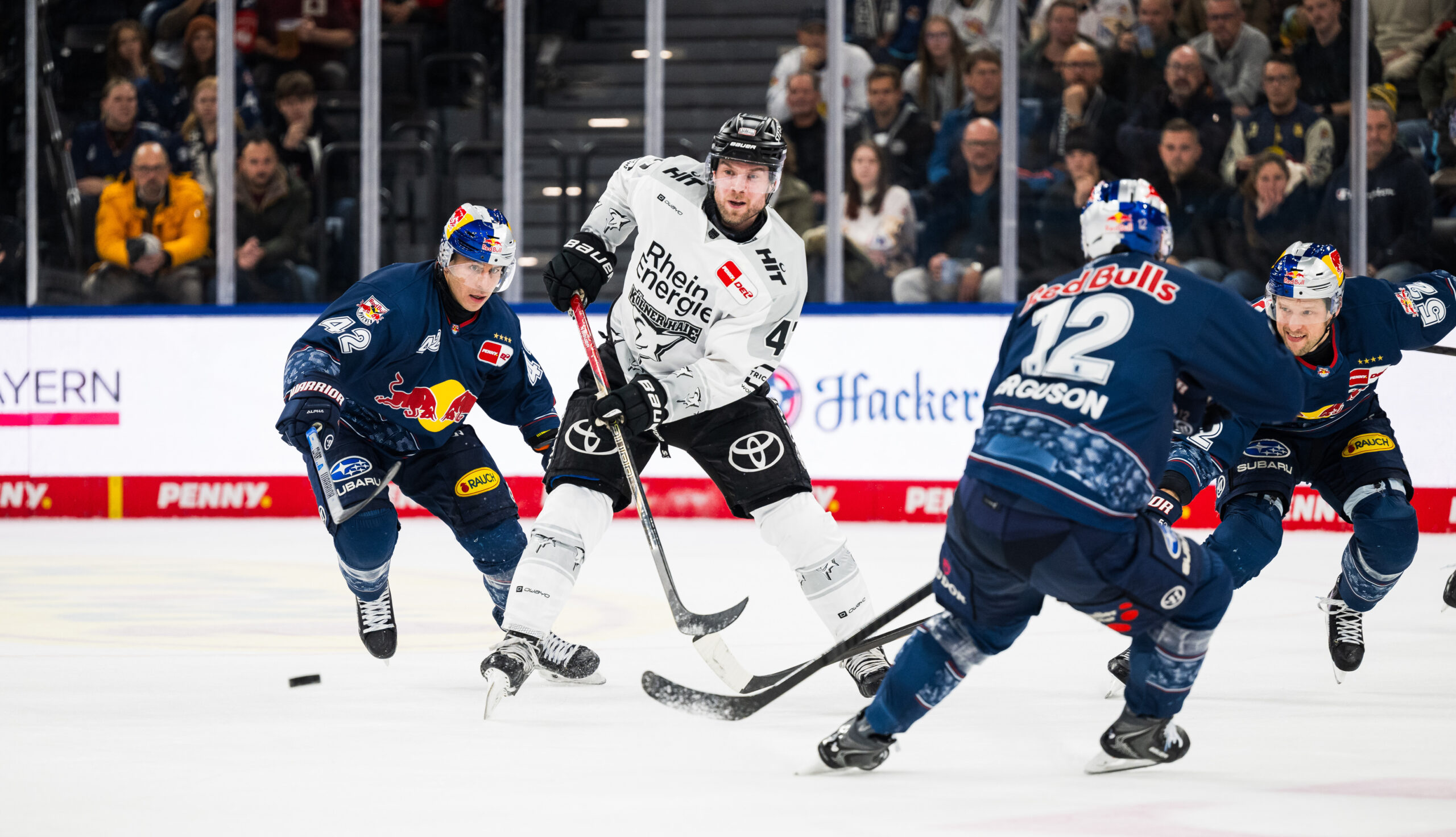 Knappe Niederlage in München - Haie unterliegen 1:2 nach Verlängerung ...