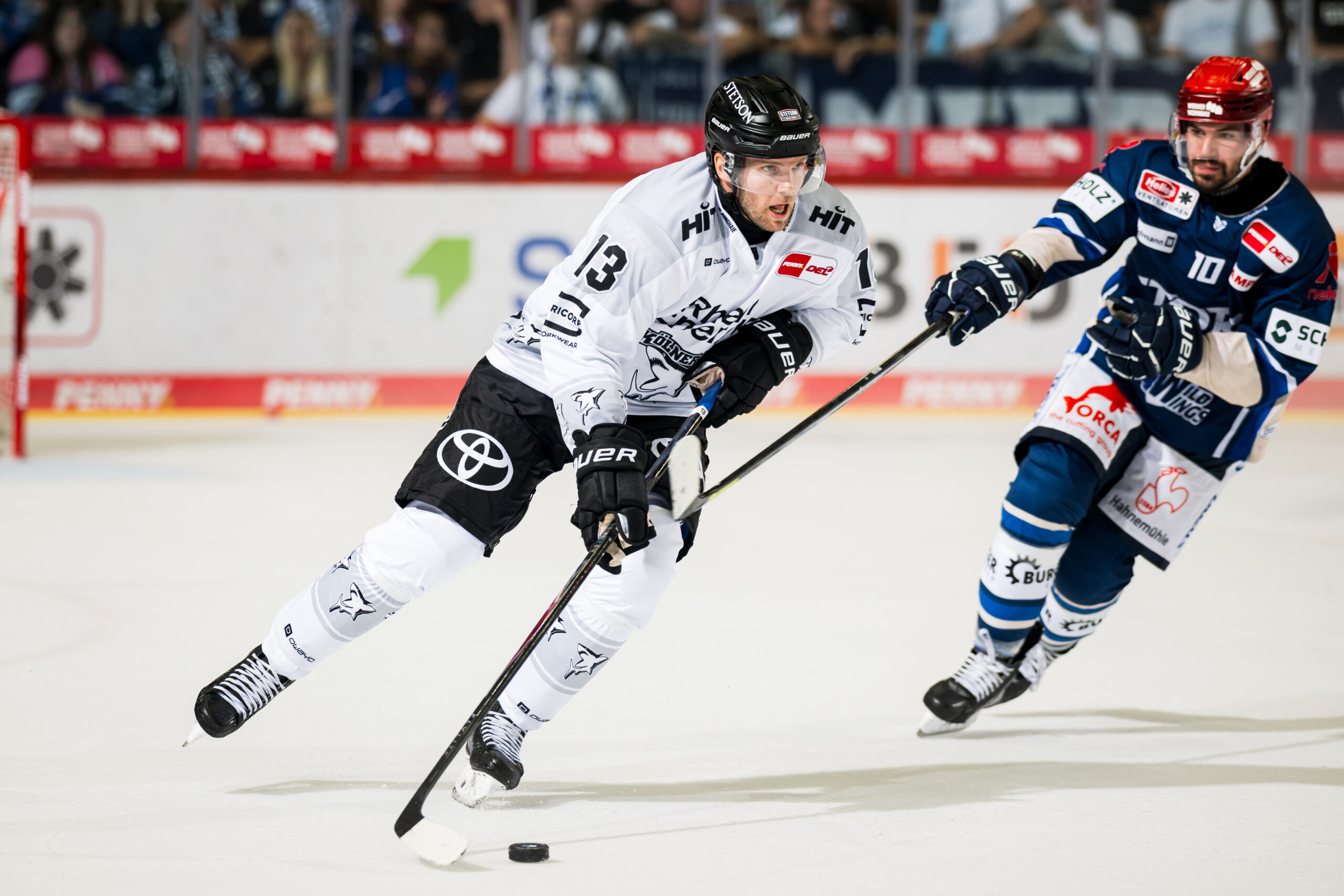 Letztes Auswärtsspiel vor Olympia - Haie am Freitagabend zu Gast in ...